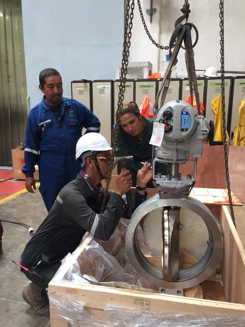 Services - PETROSYSTEMS